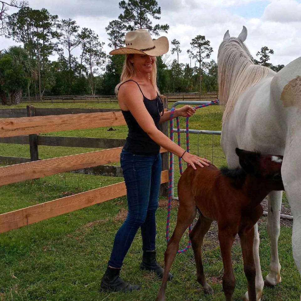 About – Cavalcade Stables